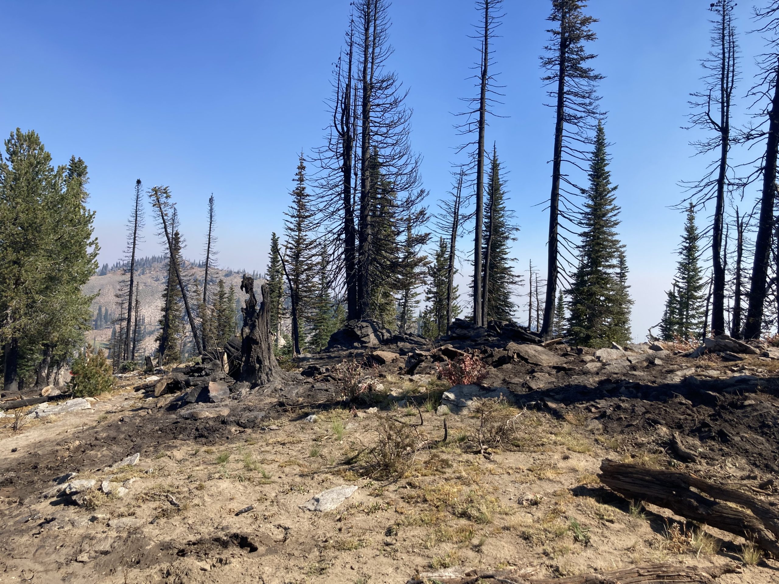 Rainbow Fire at Top of Brundage Mountain Declared Officially Under ...