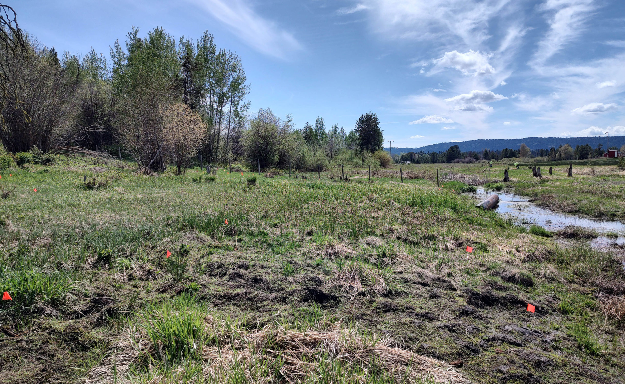 Brundage Mountain Looks to the Future By Restoring Wetlands at Activity ...