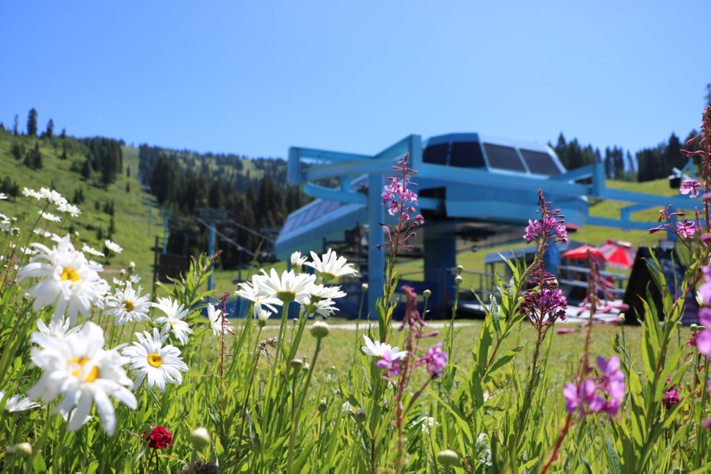 BlueBird Express Chairlift Operations Update - Brundage Mountain Resort