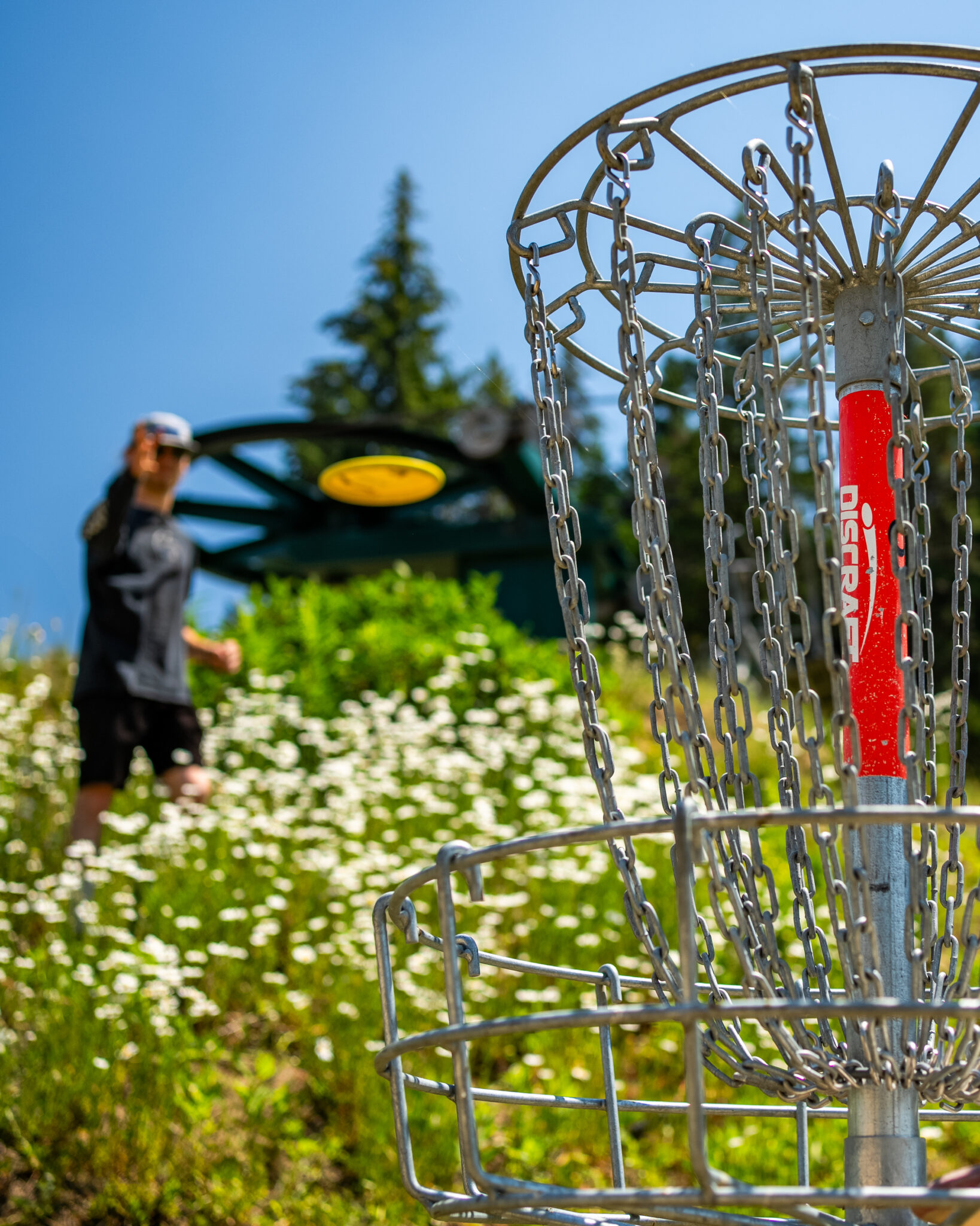 McCall Disc Golf - Brundage Mountain Resort