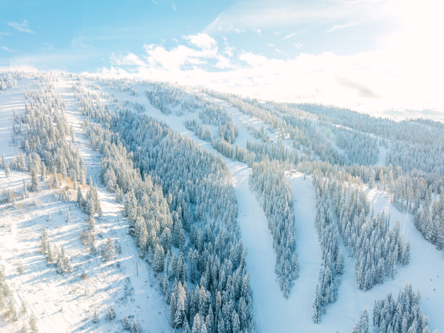 Bluebird Express opening Expands Full-Time Operations at Brundage ...