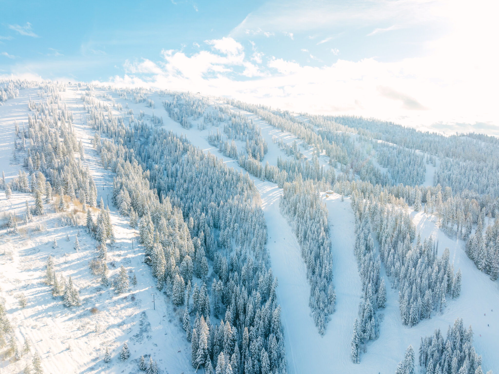 Bluebird Express opening Expands Full-Time Operations at Brundage ...